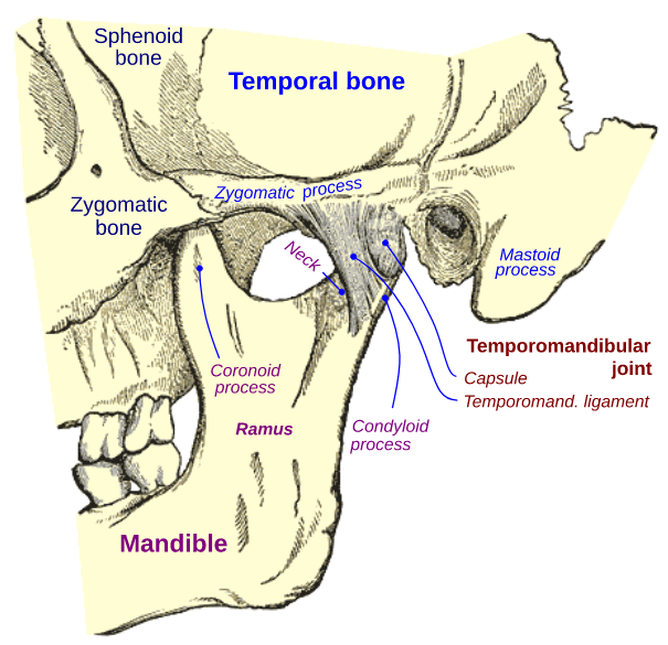 TMJ Dysfunction